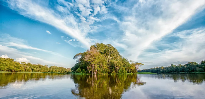 A transformação de plástico não reciclável em matéria-prima ...